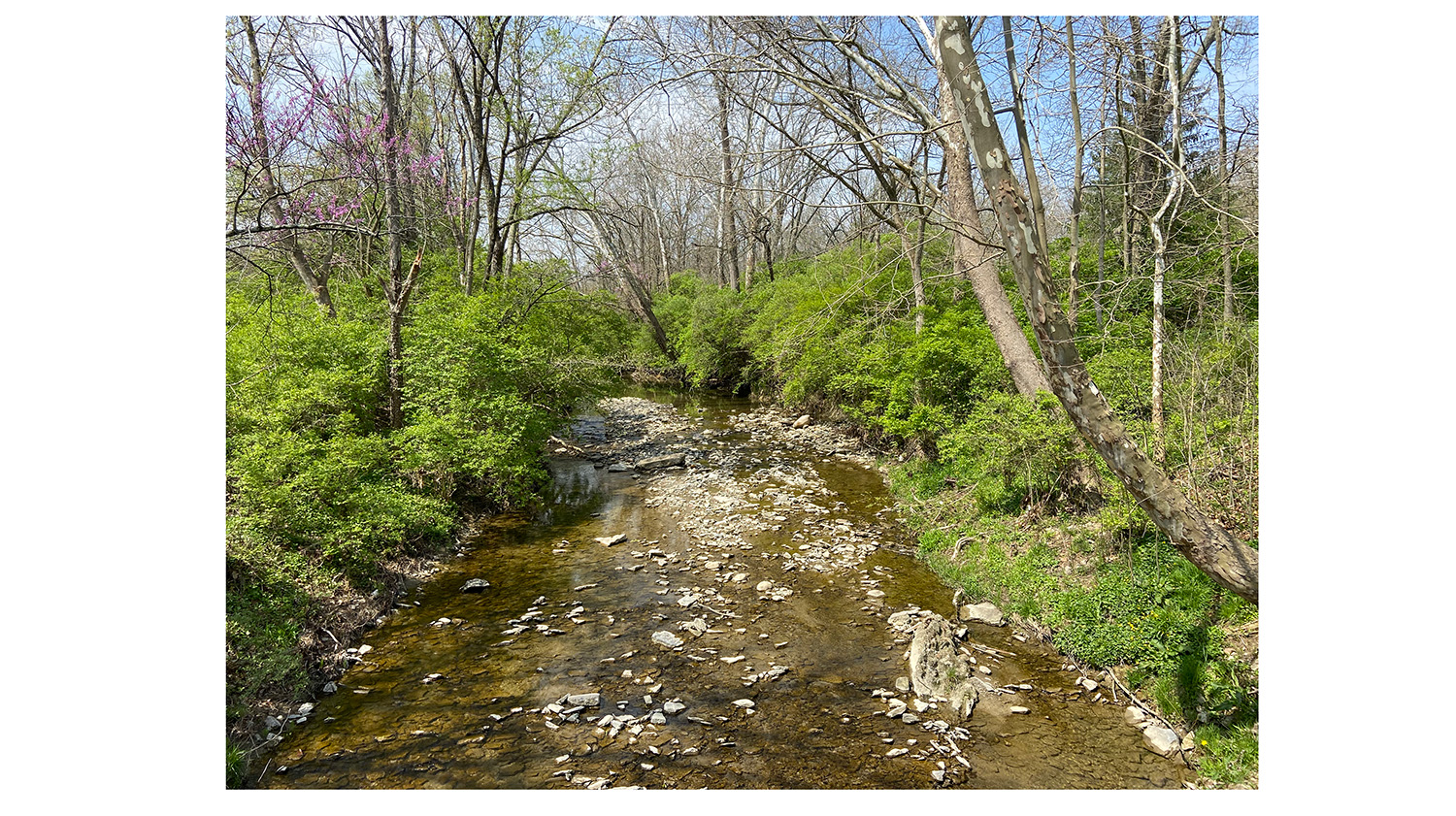 Ohio EPA declares Four Mile Creek watershed streams in good condition ...